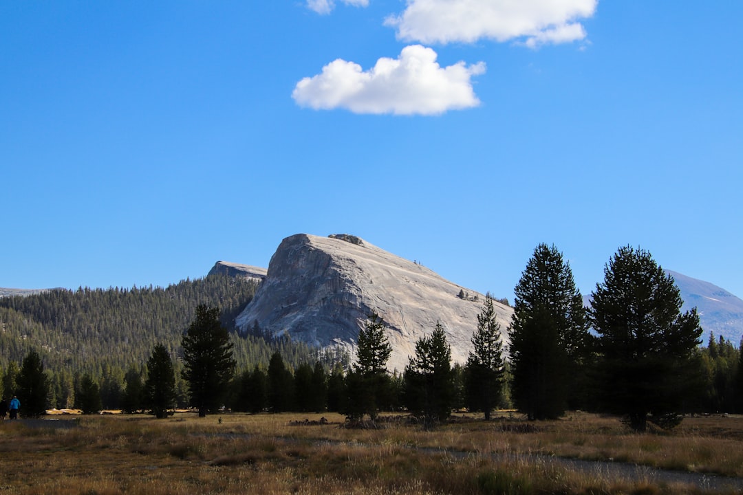 Imperial County AOR Services | AgentFire